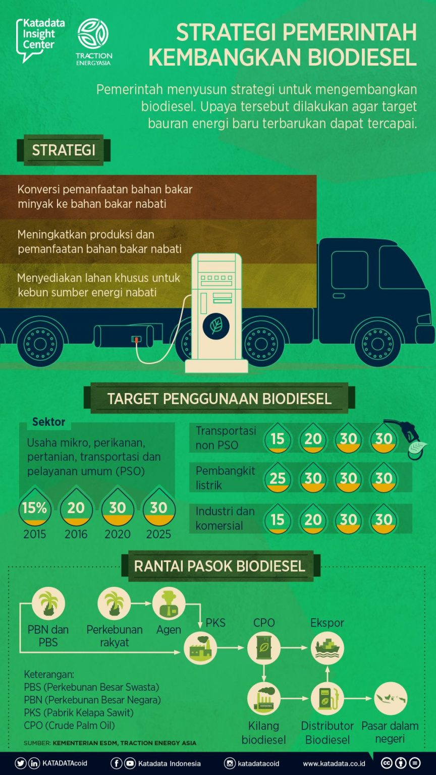 Strategi Pemerintah Kembangkan Biodiesel — TRACTION ENERGY ASIA